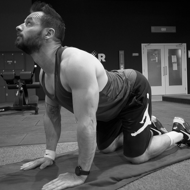 Posture chat, dos rond - dos creux - Nolan Coach Sportif